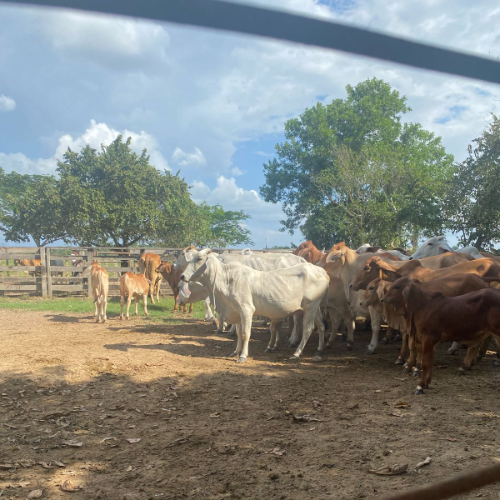 NORDIKA STORE COLOMBIA