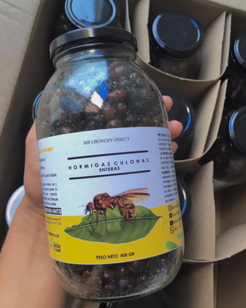 NORDIKA STORE COLOMBIA