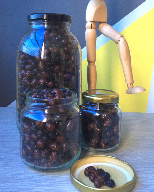 NORDIKA STORE COLOMBIA