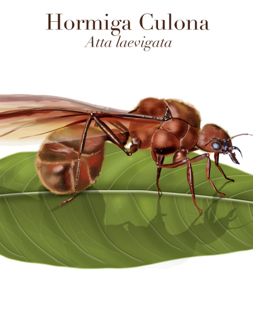 NORDIKA STORE COLOMBIA