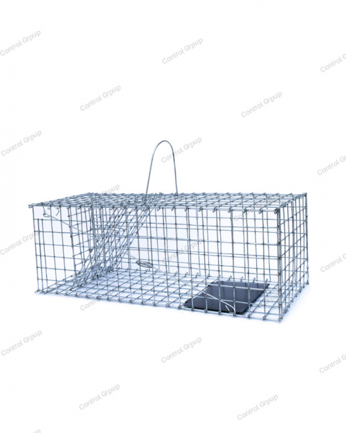 Control Group - Soluciones Integrales para el Manejo de Plagas