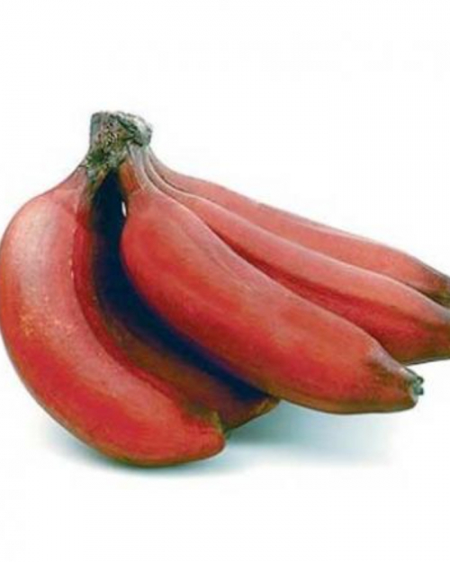 NORDIKA STORE COLOMBIA