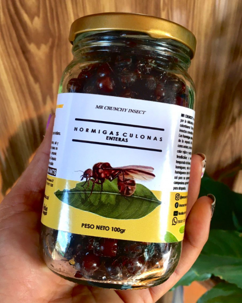 NORDIKA STORE COLOMBIA