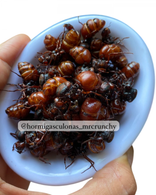 NORDIKA STORE COLOMBIA