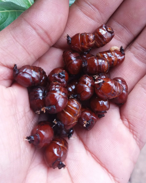 NORDIKA STORE COLOMBIA