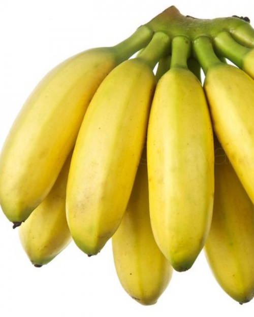 NORDIKA STORE COLOMBIA