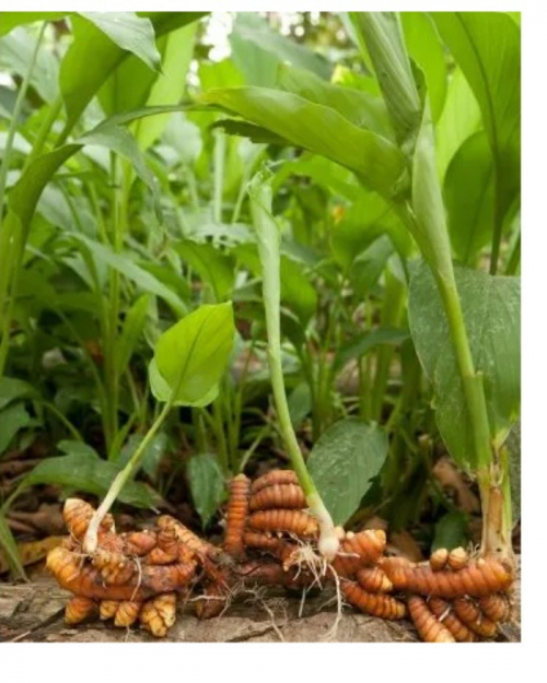 NORDIKA STORE COLOMBIA