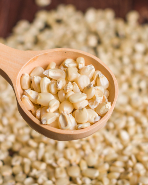 NORDIKA STORE COLOMBIA