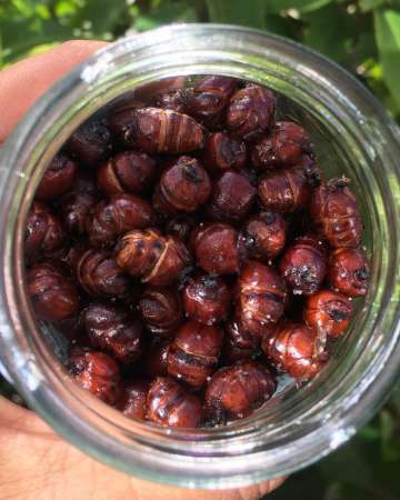 NORDIKA STORE COLOMBIA